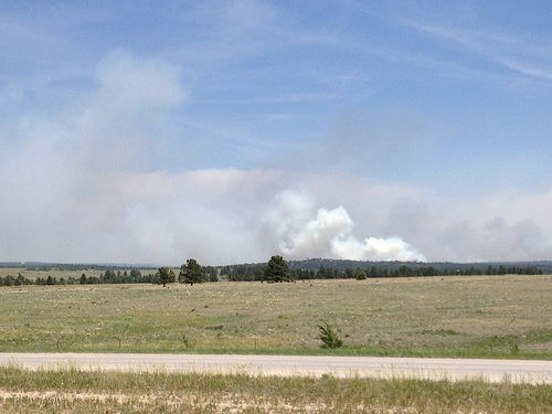 One Family's Story of Loss from the Black Forest Fire | Colorado Public ...