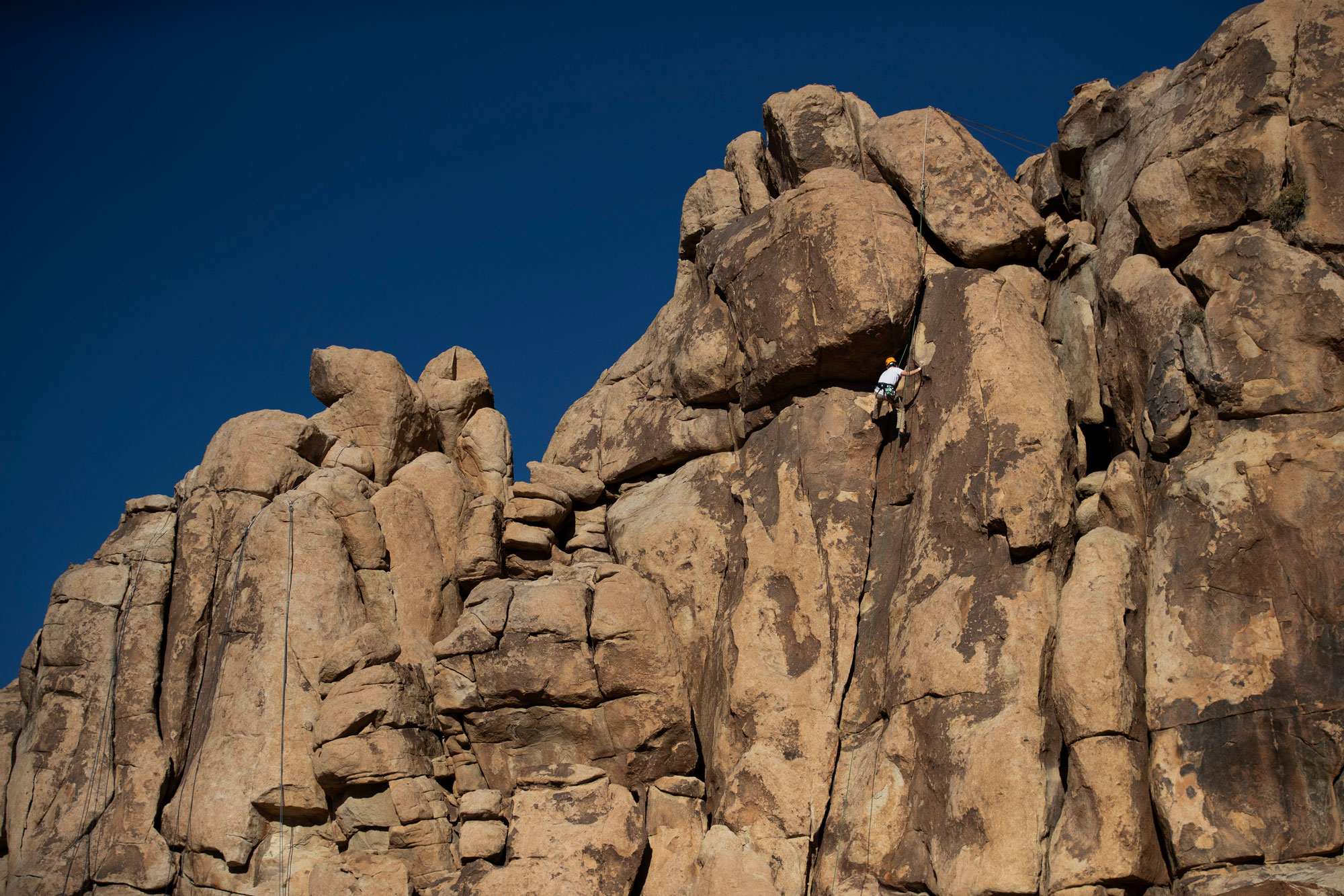Slash Face Joshua Tree