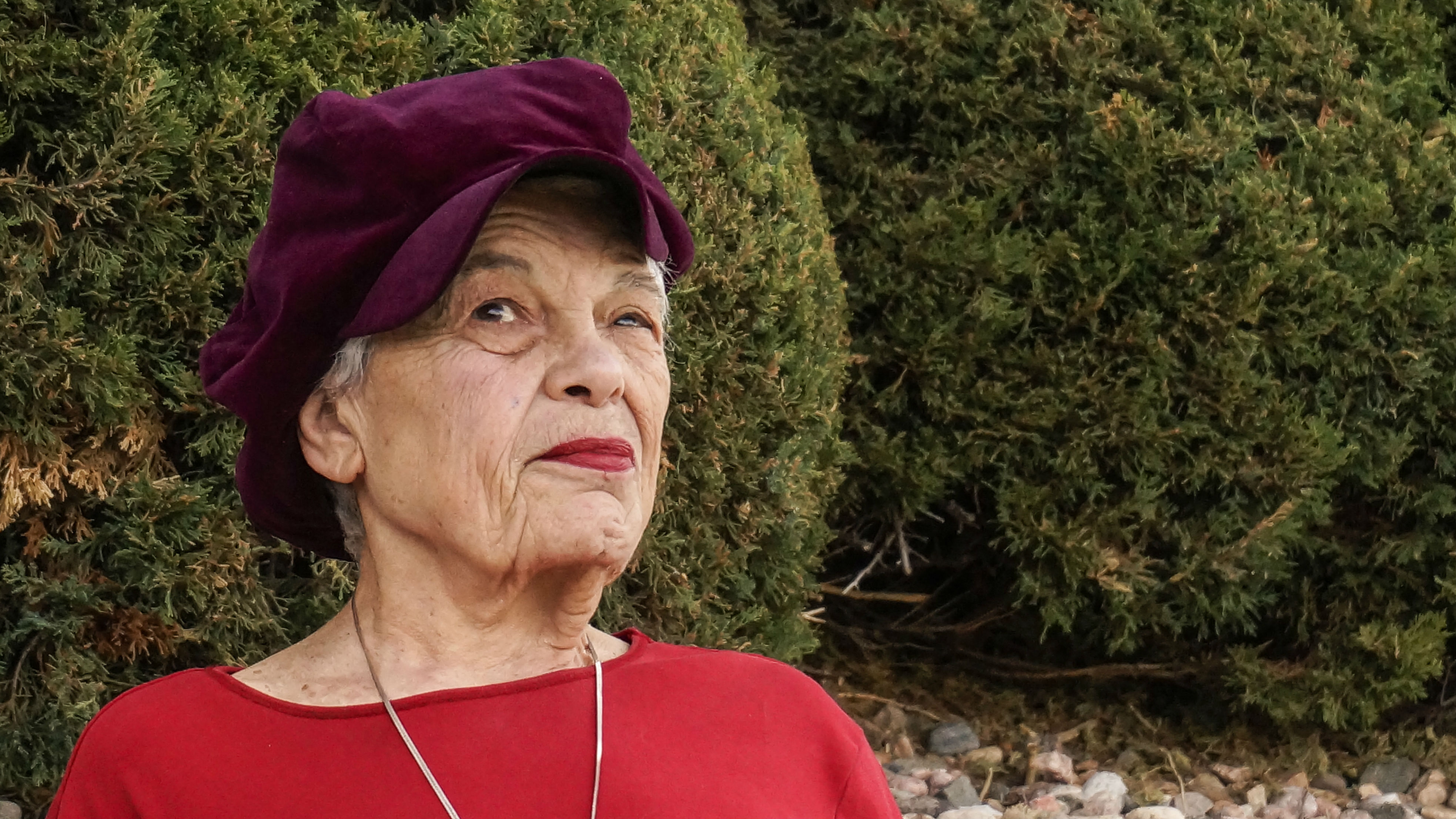 Stephanie Wolf's Instagram, Twitter & Facebook on IDCrawl