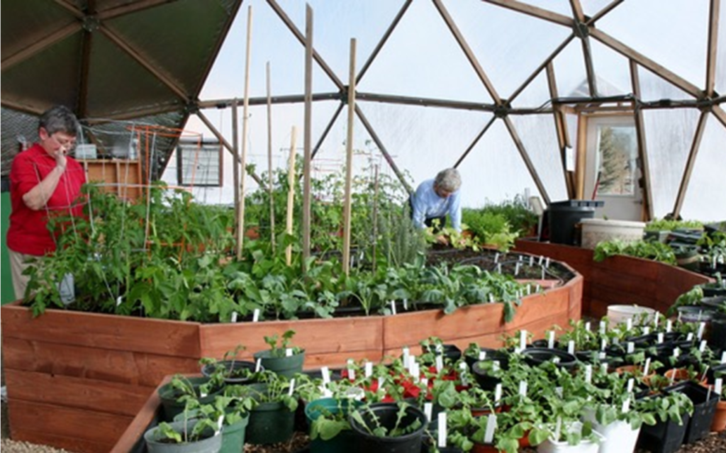 When Life Gives You Hot Springs, Use Them To Grow Tomatoes — In Winter ...