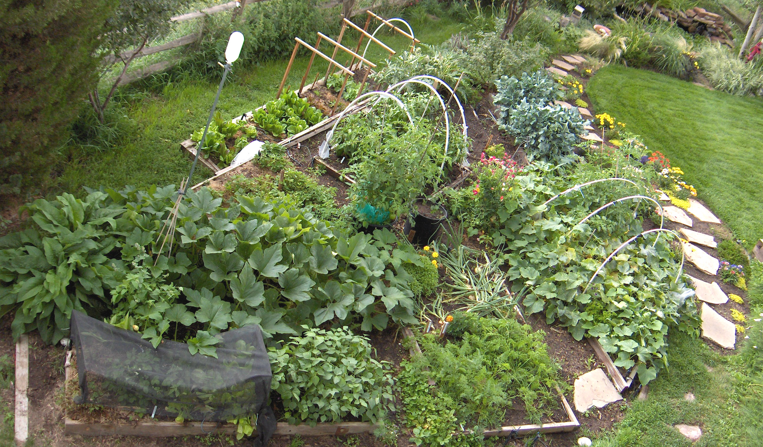 How to prepare your garden for a bountiful harvest in 2015 | Colorado ...