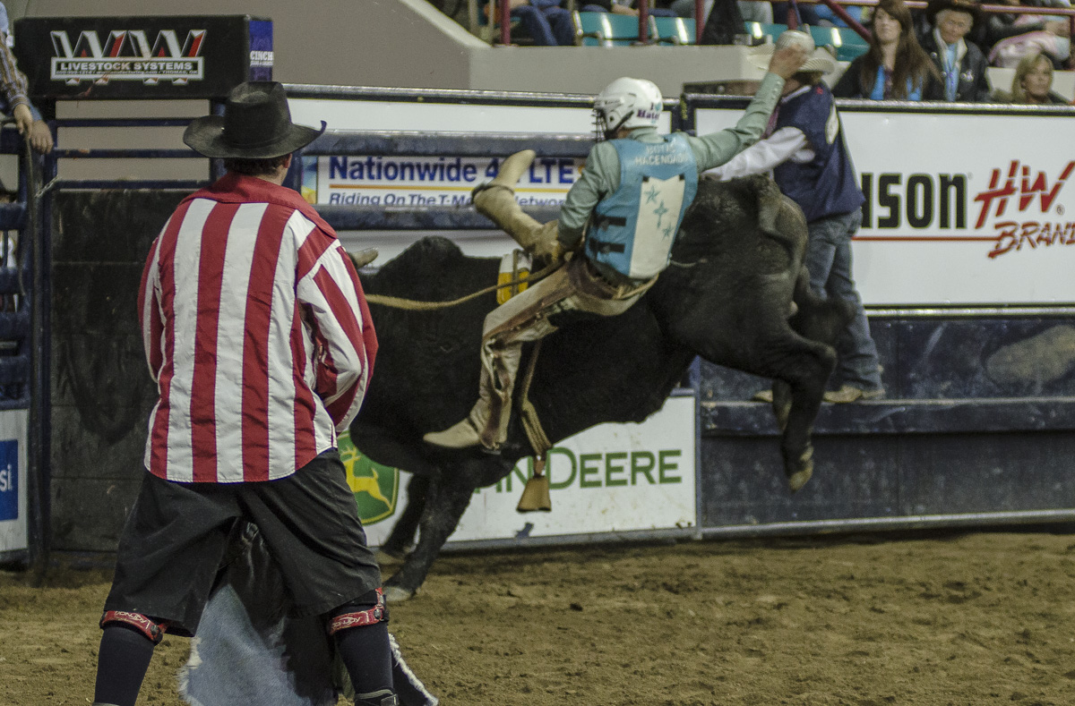 Sounds of the Stock Show: Bull rider Luis Ramos