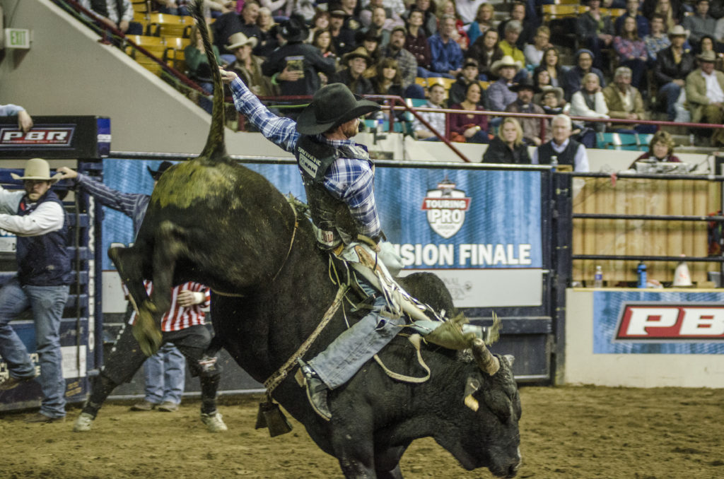 Sounds of the Stock Show: Bull rider Cody Campbell