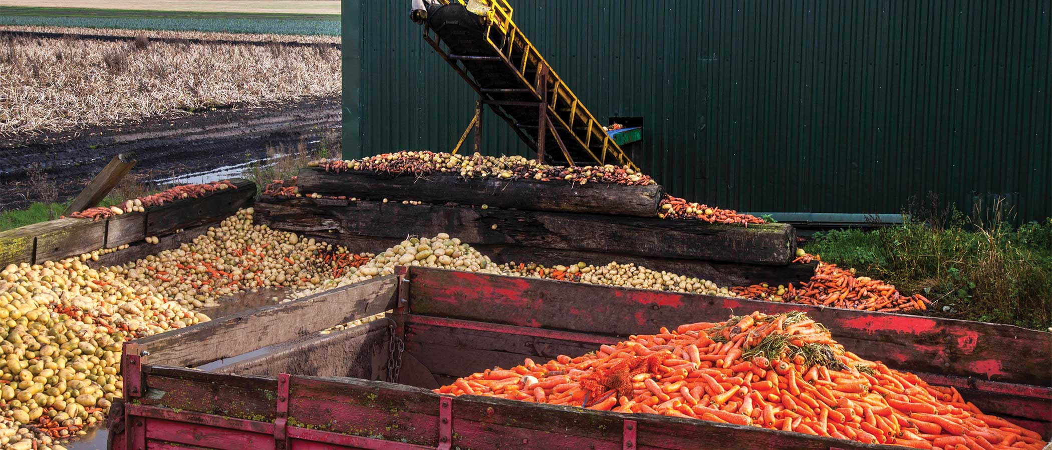 How Eating Bruised Apples Can Help Save The Planet: ‘Drawdown’ Book ...