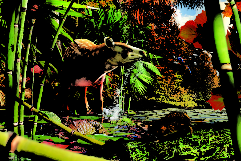 Teeny-tiny hedgehog roamed Earth 52 million years ago | Colorado Public ...