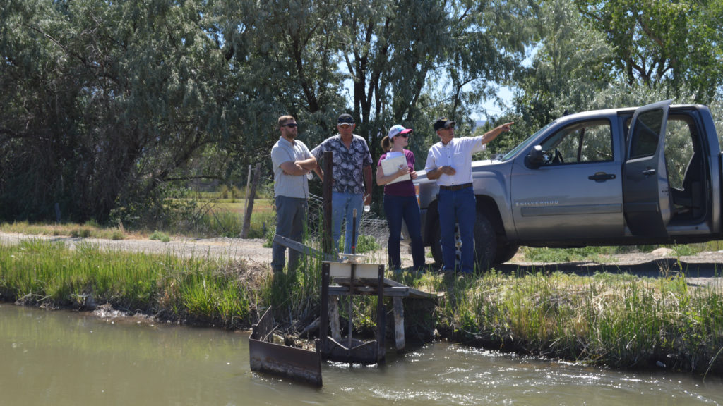 Preparing For Climate Change, Colorado Farmers Fallow Their Fields To ...