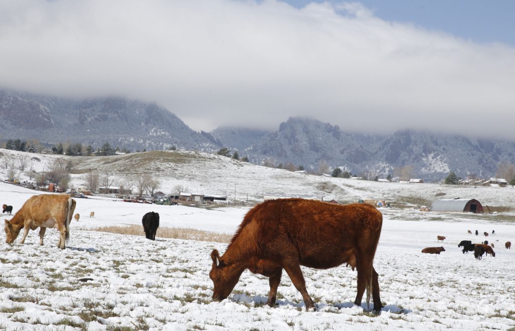 Report: Climate Change Will Affect Colorado's Food Supply