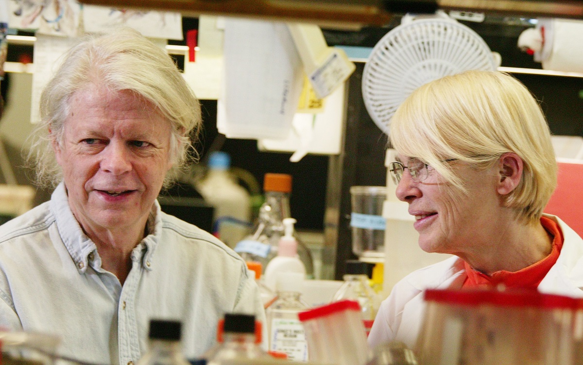 Colorado scientist investigates the body’s “Navy Seals” | Colorado ...