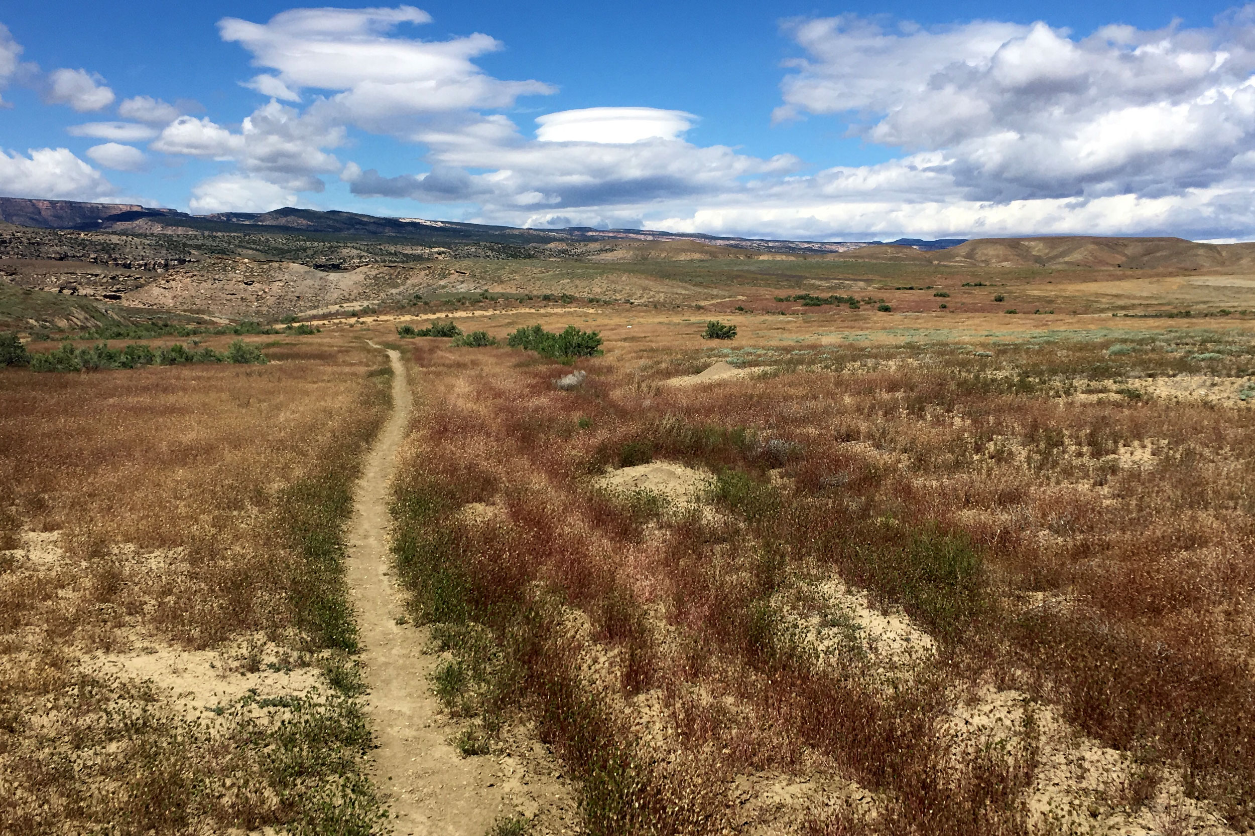 Eastern Plains | Colorado Public Radio