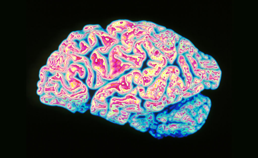 Colorado researcher moves forward on a drug that could reduce memory ...