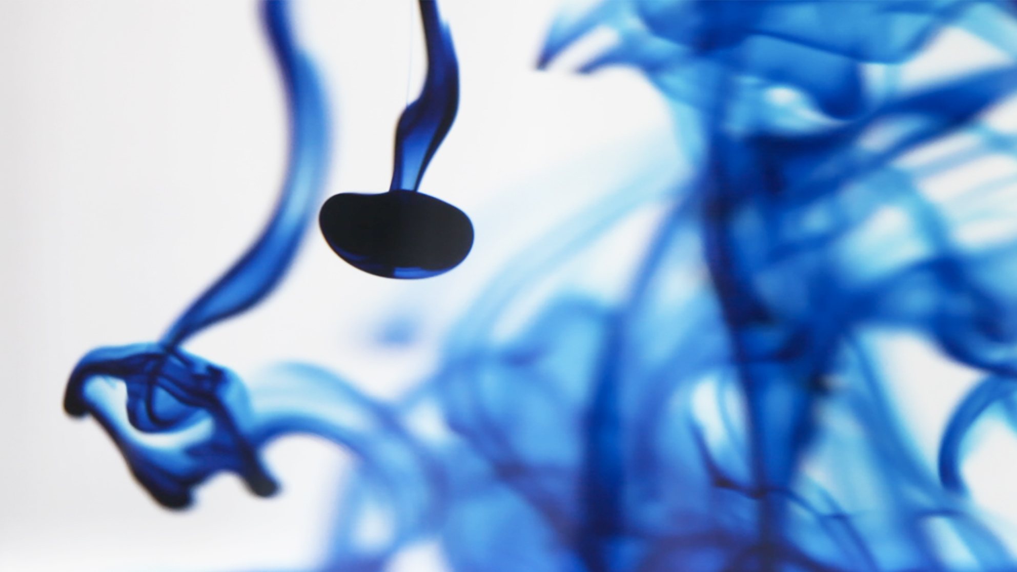 Blue Dye Kills Malaria Parasites — But There Is One Catch | Colorado ...