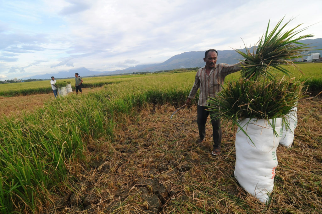 The Fight Against World Hunger Is Going In The Wrong Direction