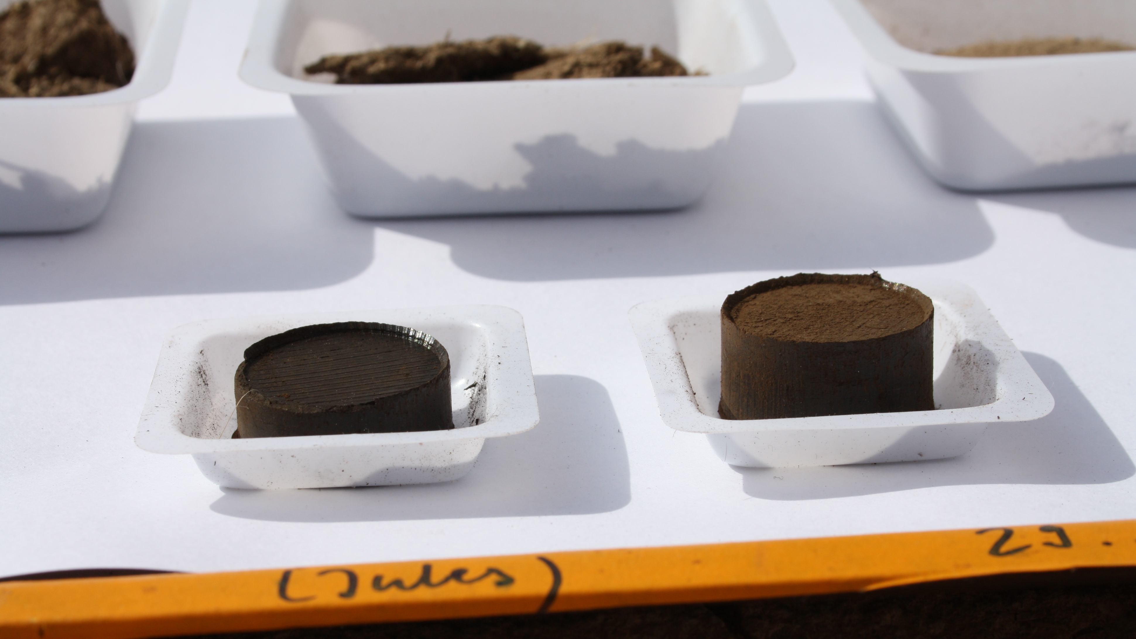 Pardon Me, Turkey, Is This Stool Taken? Scientists Turn Poultry Poop ...