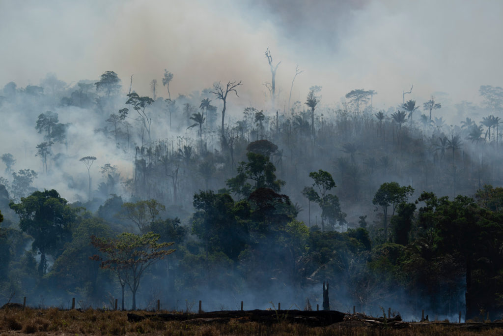 How Quickly Could The Amazon Rainforest Become The Amazon Grassland ...