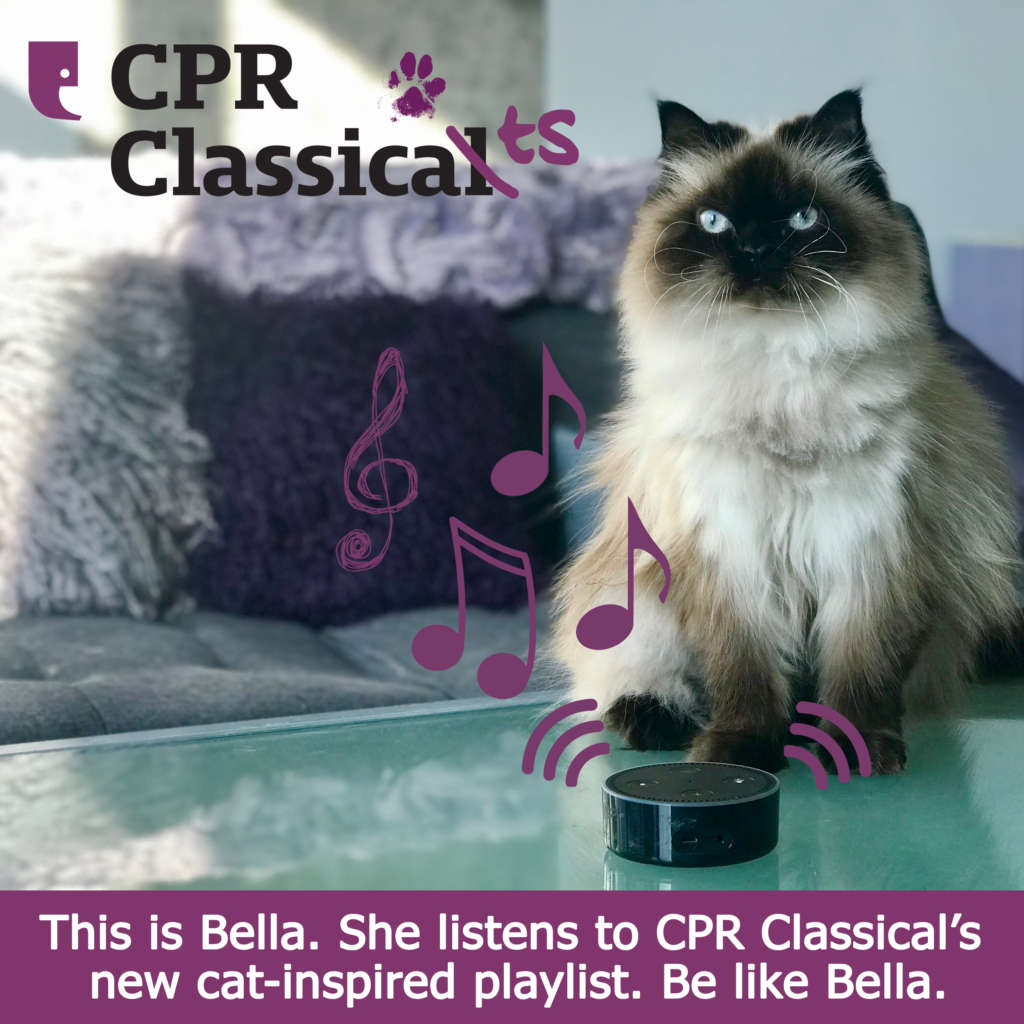 9 Purrfect Pieces For the Classical Cats in Your Life