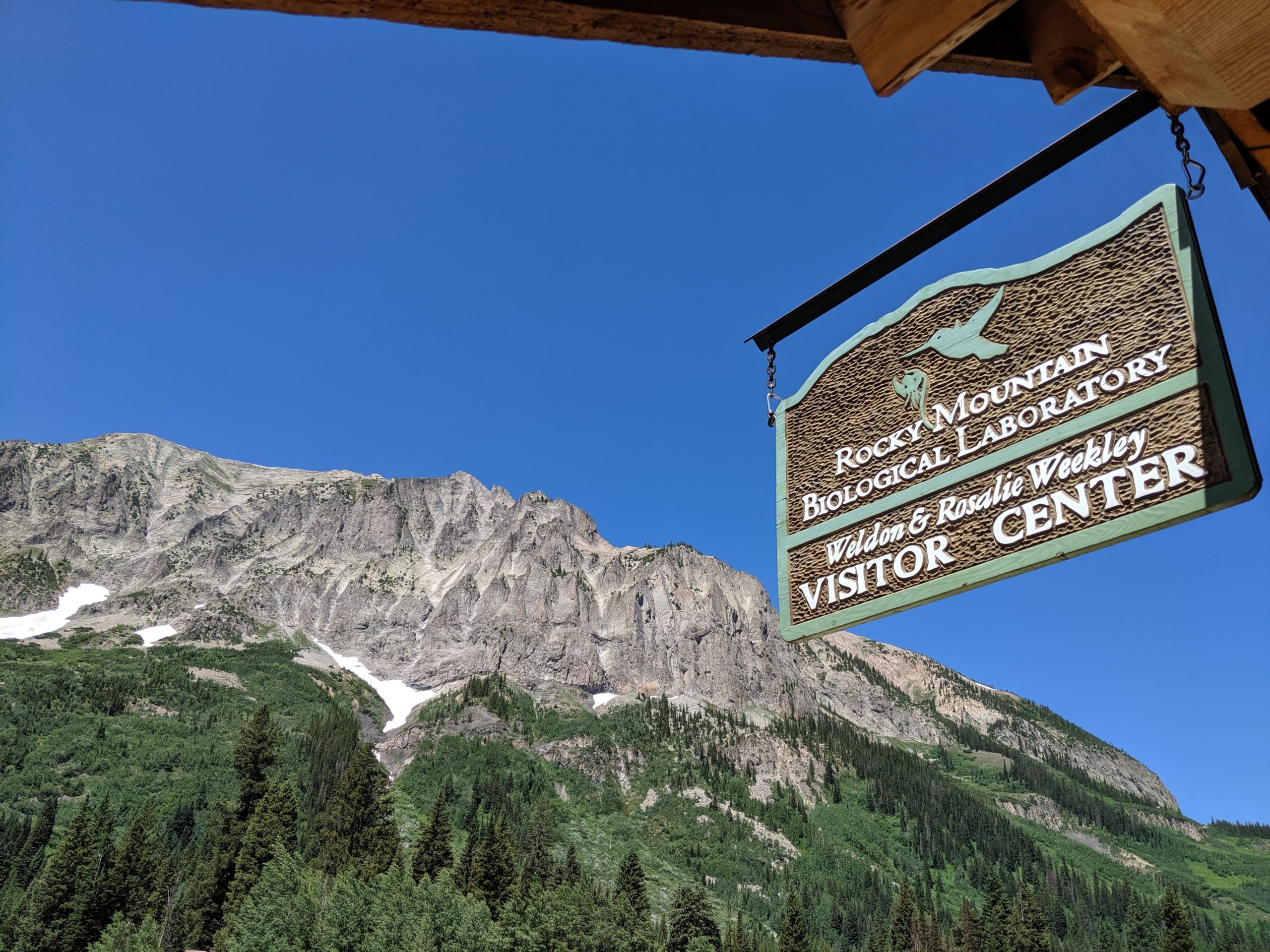 The Colorado Ghost Town Of Gothic Has A History Thanks To This Century ...