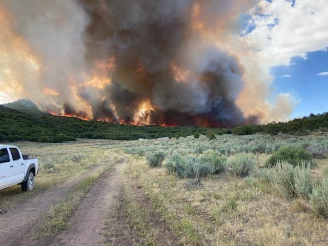 Wildfire in Mesa County That Began Friday Climbs to 1,500 Acres By ...