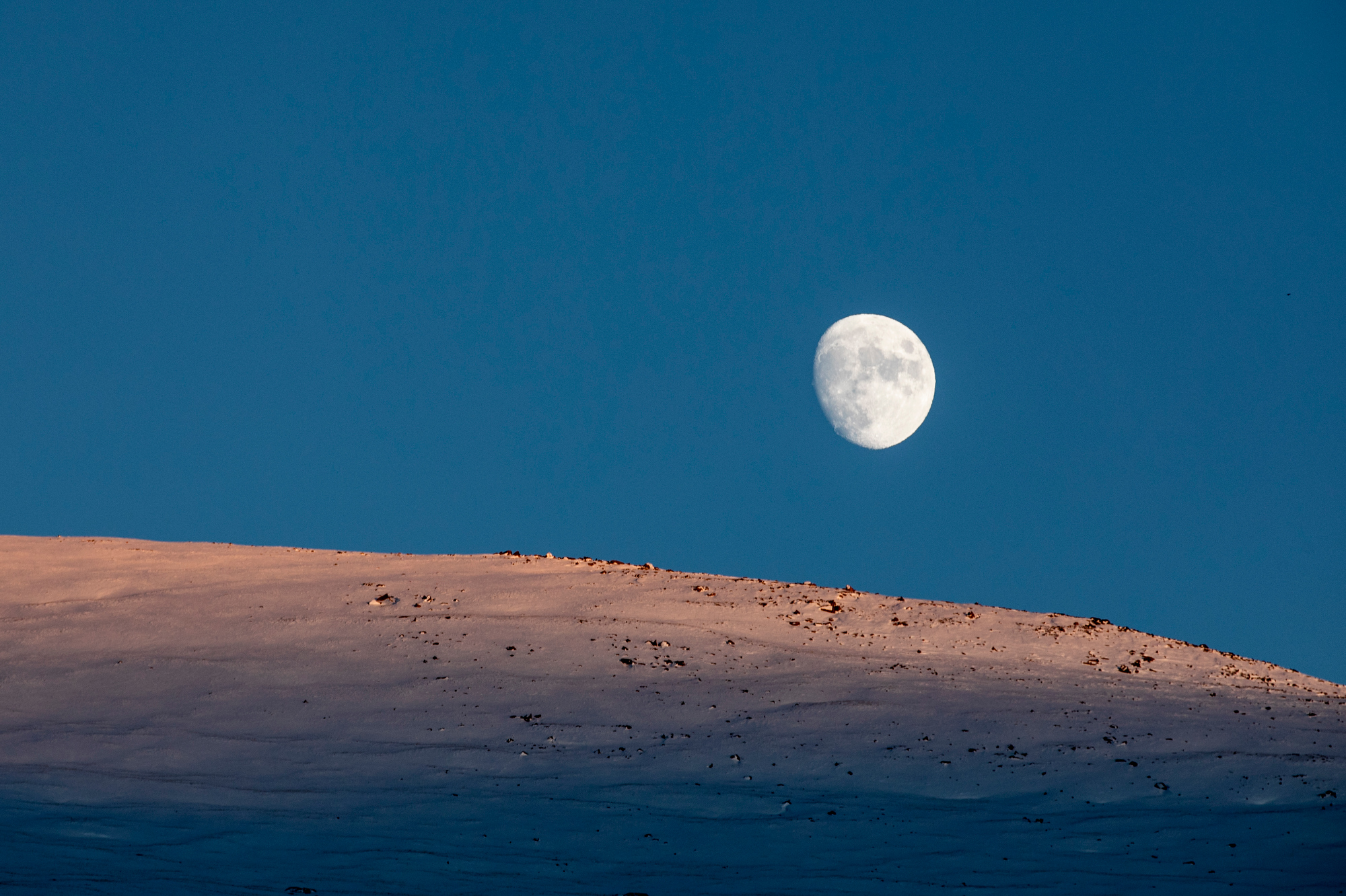 Lockheed Martin Is Developing Moon Cars With General Motors In Hopes ...