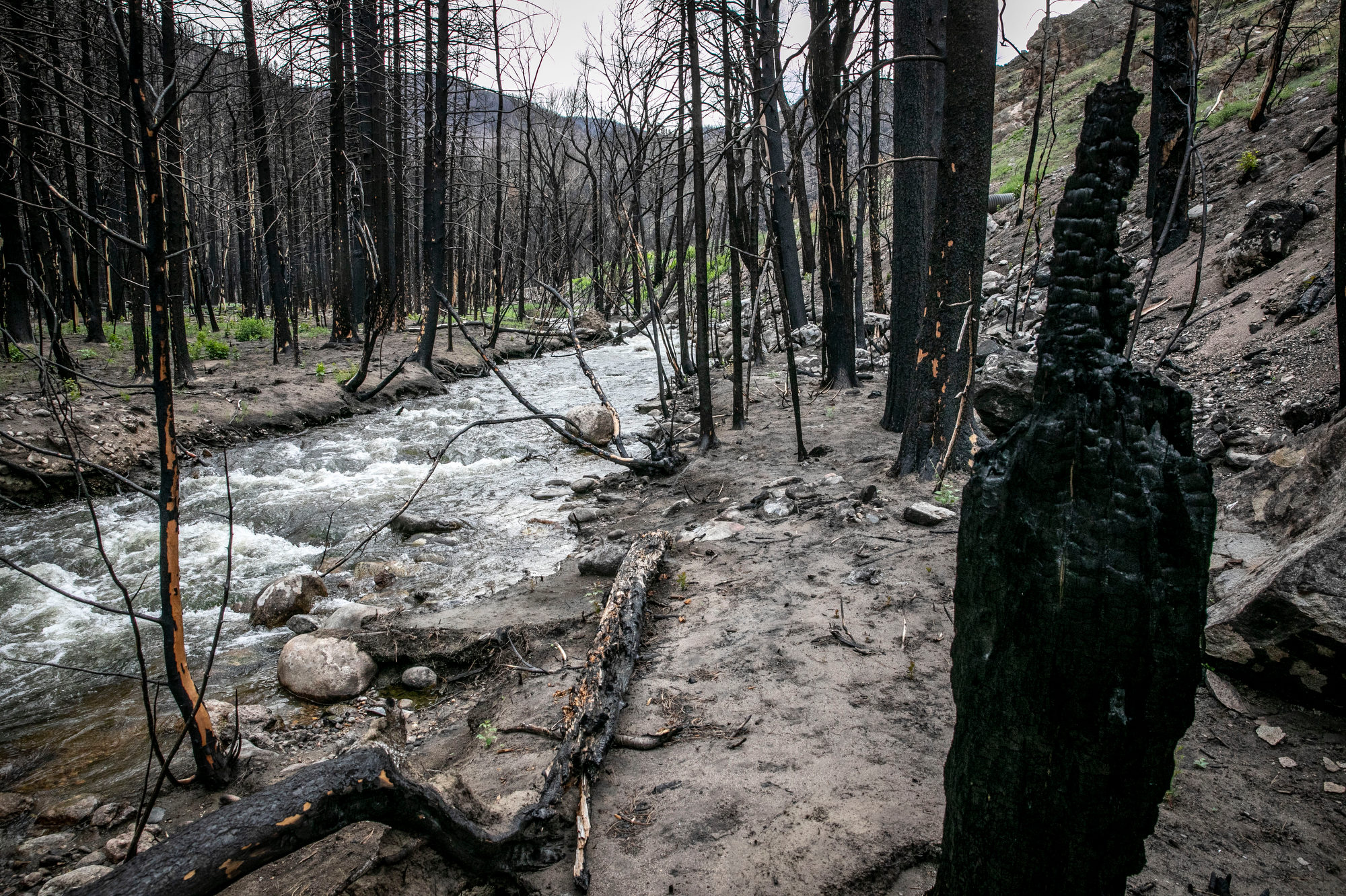 Plans Are Underway To Restore Pueblo’s Historic Keating School ...
