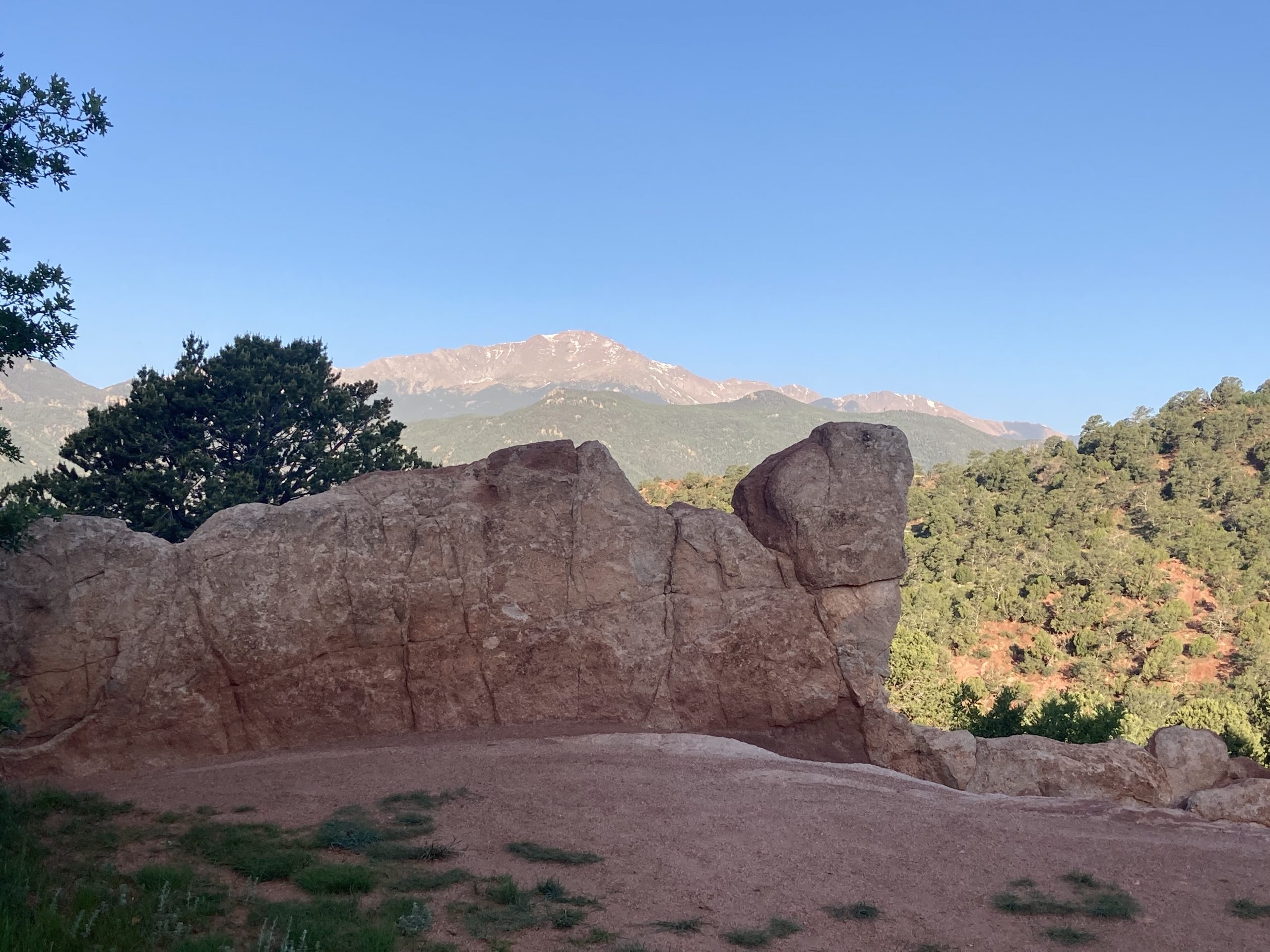 A Tall Turtle Tale In The Garden Of The Gods | Colorado Public Radio