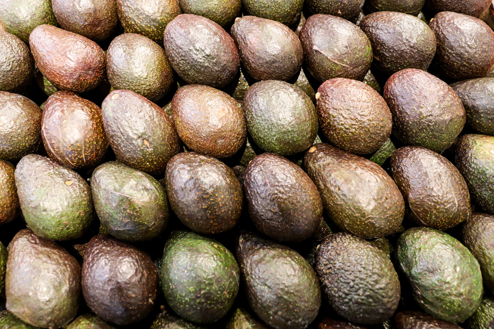 SNAP benefits in Colorado are changing this month. Here’s how to get ...