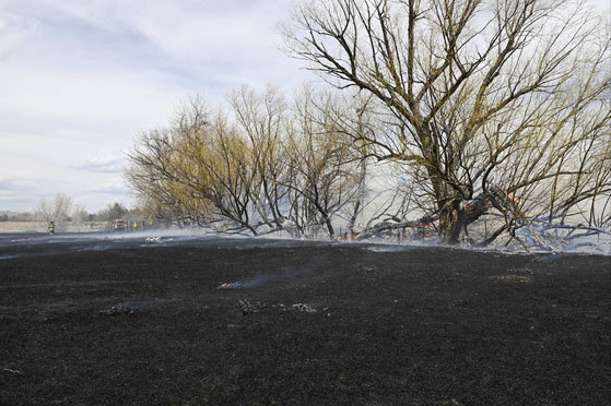Charges pending against resident after grass fire forces evacuations in ...