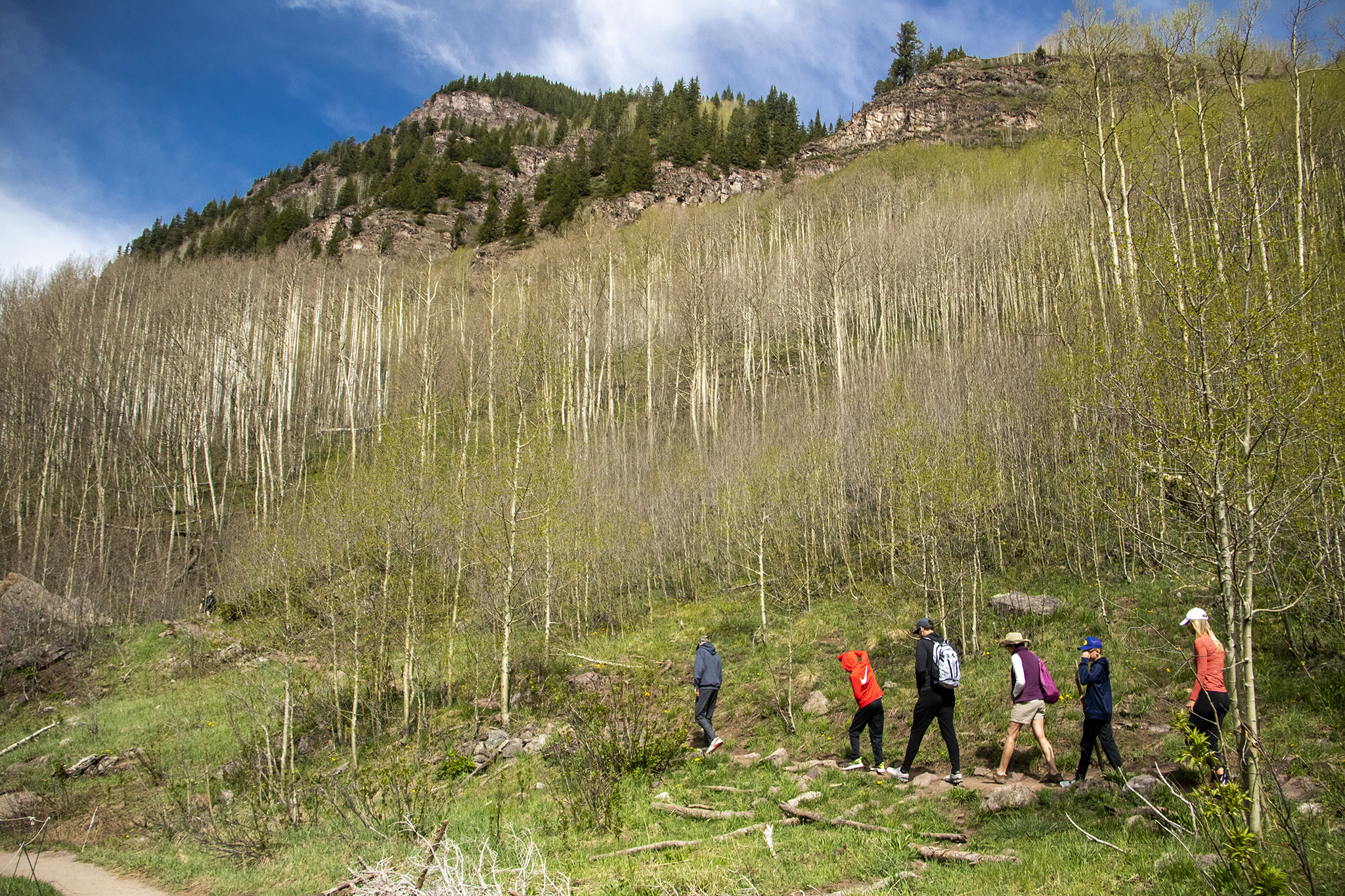 Trump dismantled a first-of-its-kind nature report. Colorado scientists ...