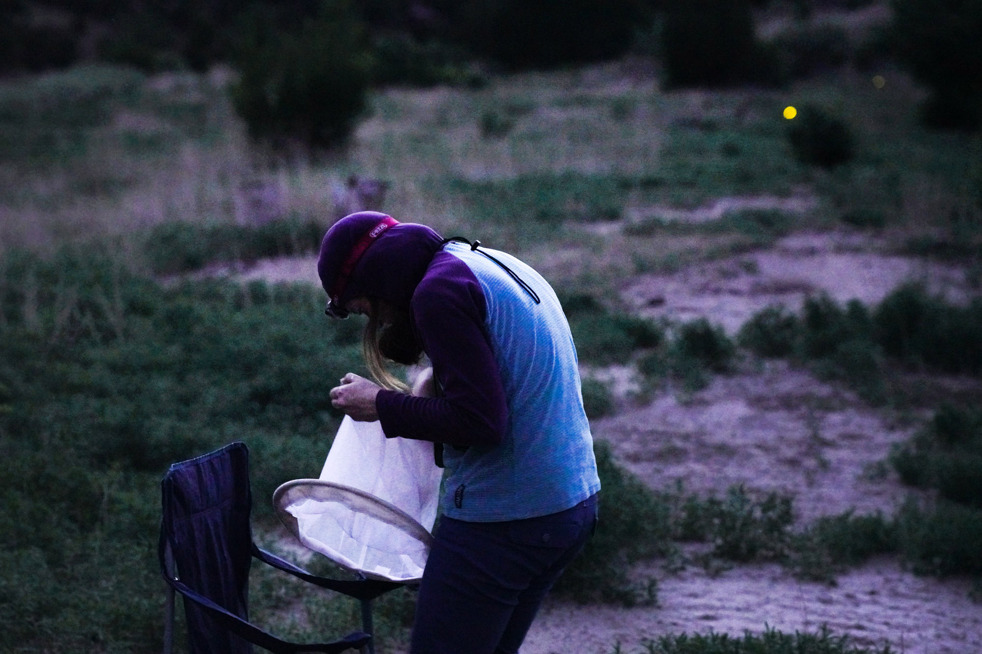 Chasing fireflies in the hidden corners of the dry, dry West | Colorado ...