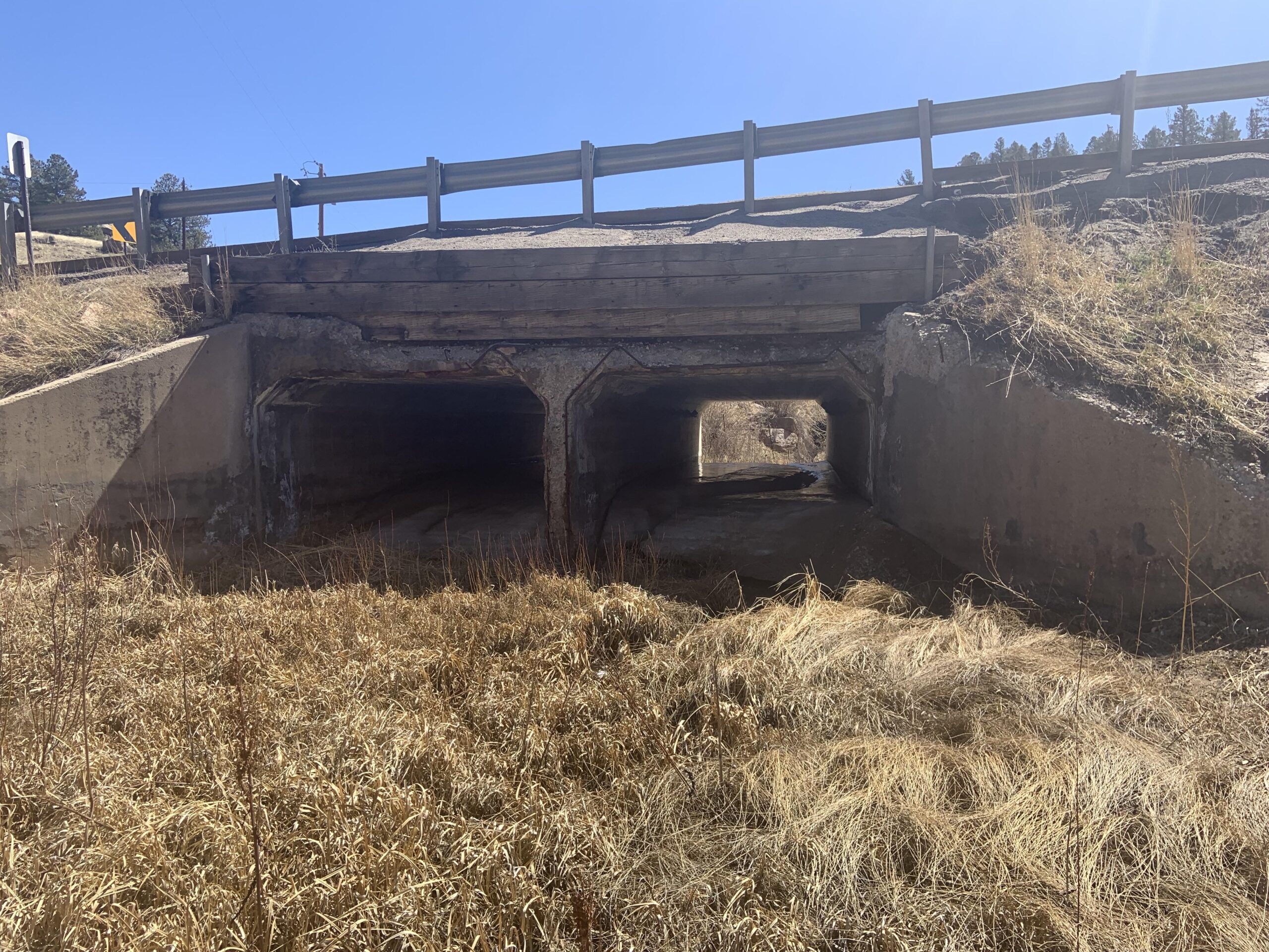 Pinon Canyon Maneuver Site – A Story of Resistance | Colorado Public Radio