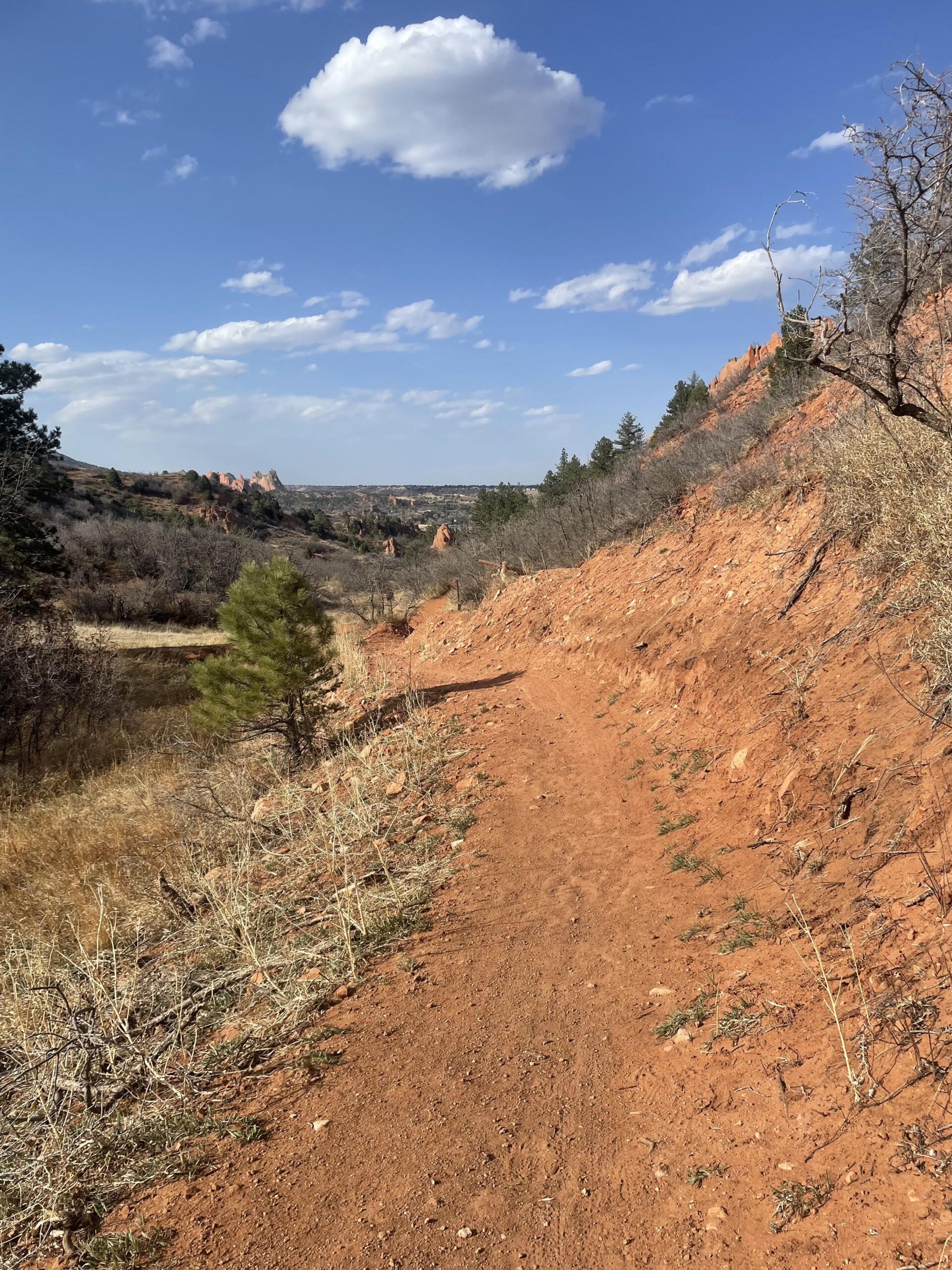 Preservation work at the Ludlow Massacre site revealed hidden symbols ...