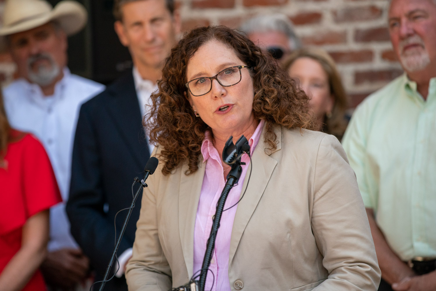 Colorado Secretary of State candidates: Pam Anderson — what to know ...