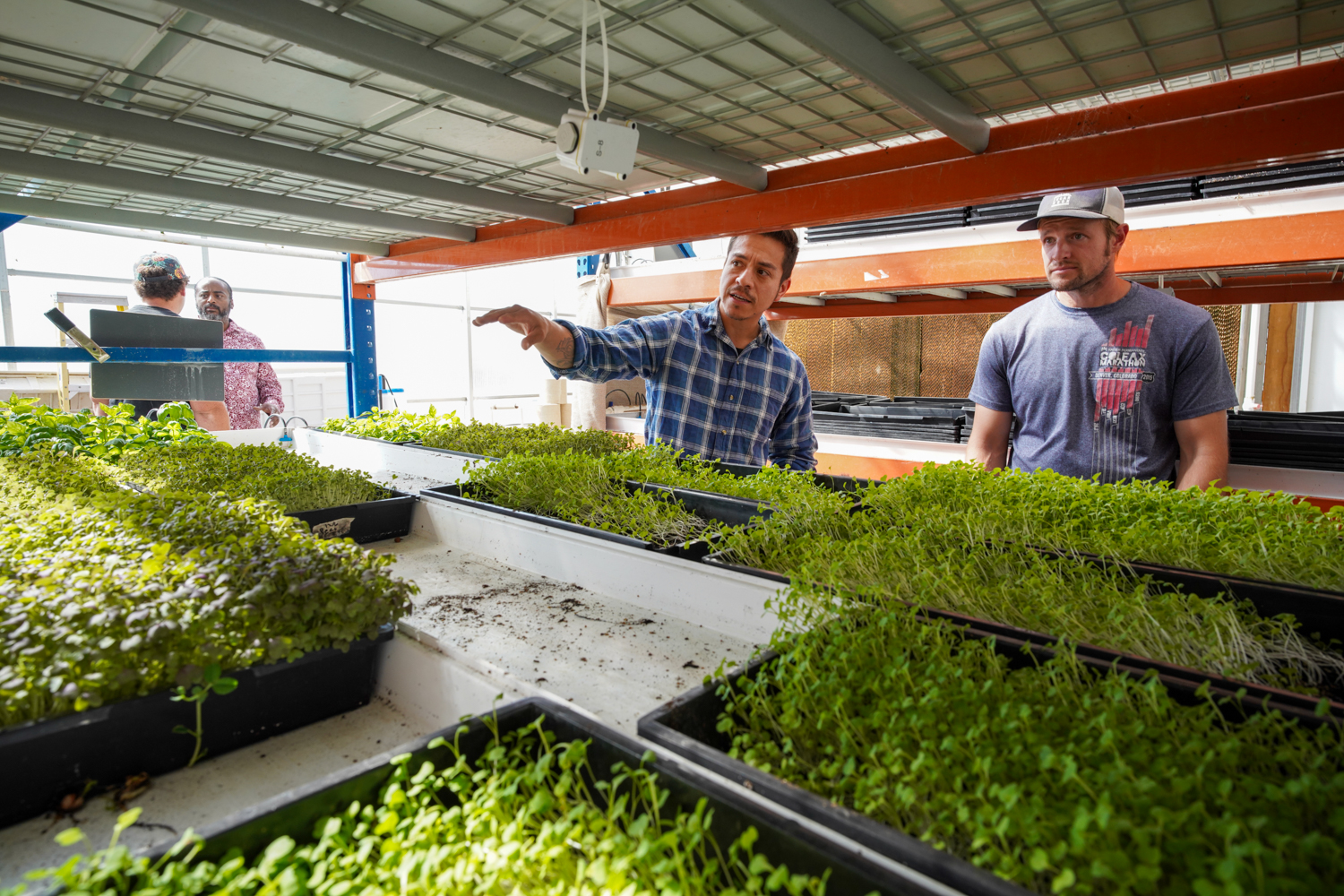 Universal free lunch for Colorado’s public school students? Voters will ...