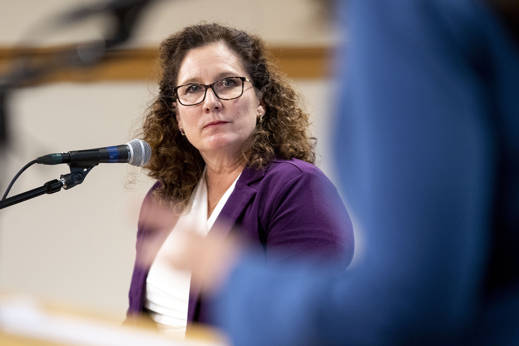 Republican Secretary of State candidate Pam Anderson on election ...