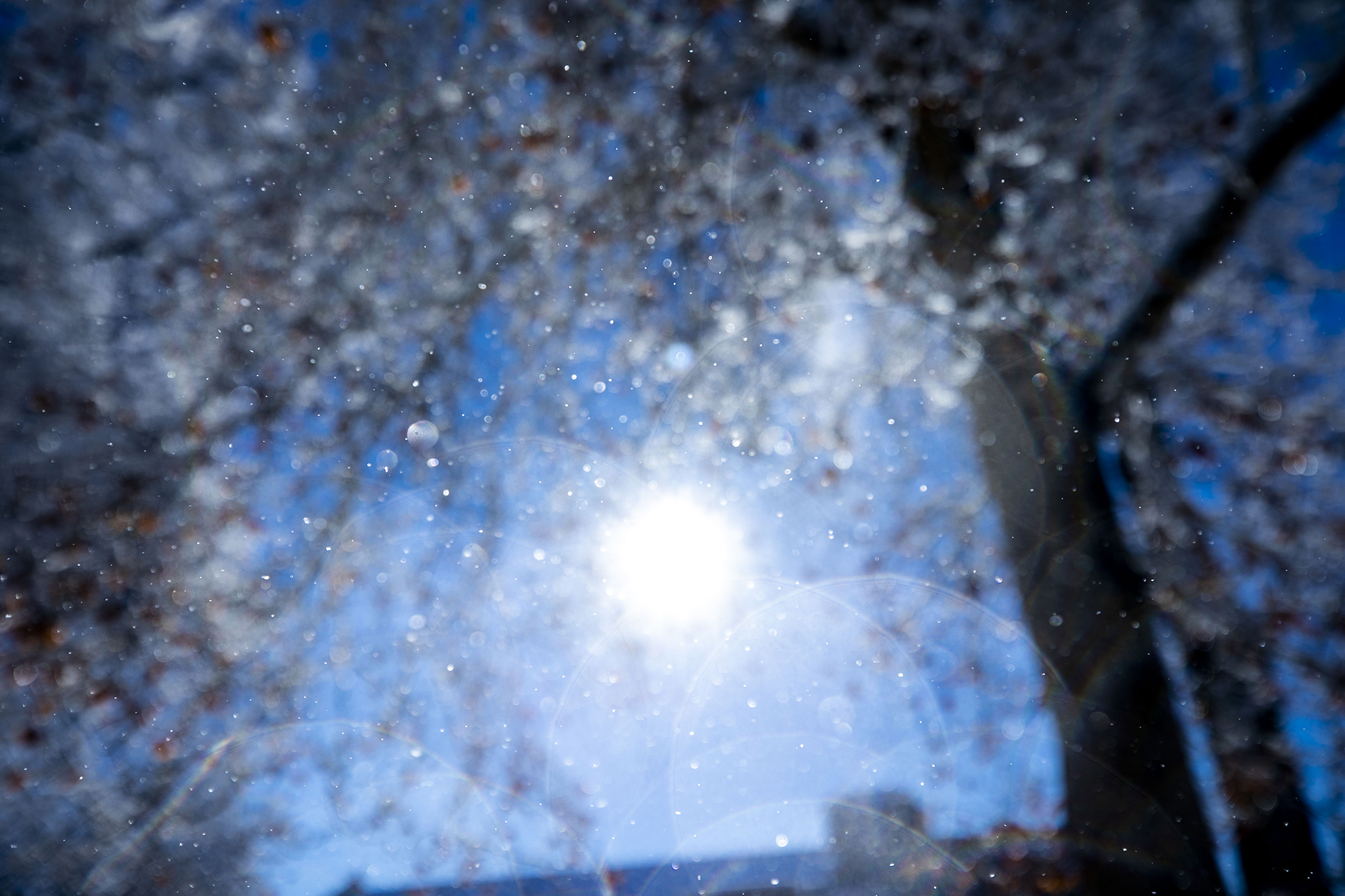 Colorado weather: Cold front brings single-digit temperatures and snow ...