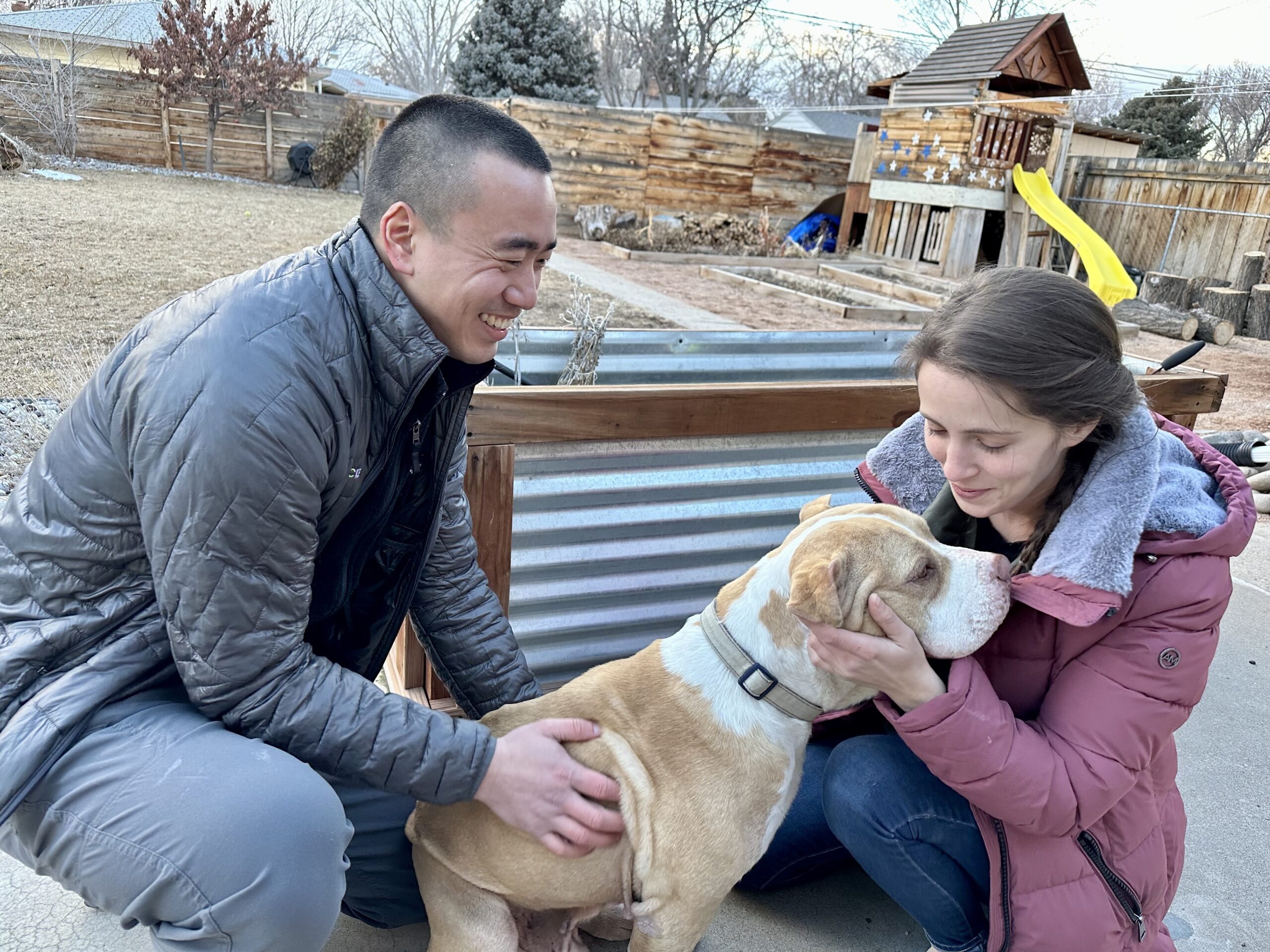 In Grand Junction, Bendu the dog finds his people despite terminal ...