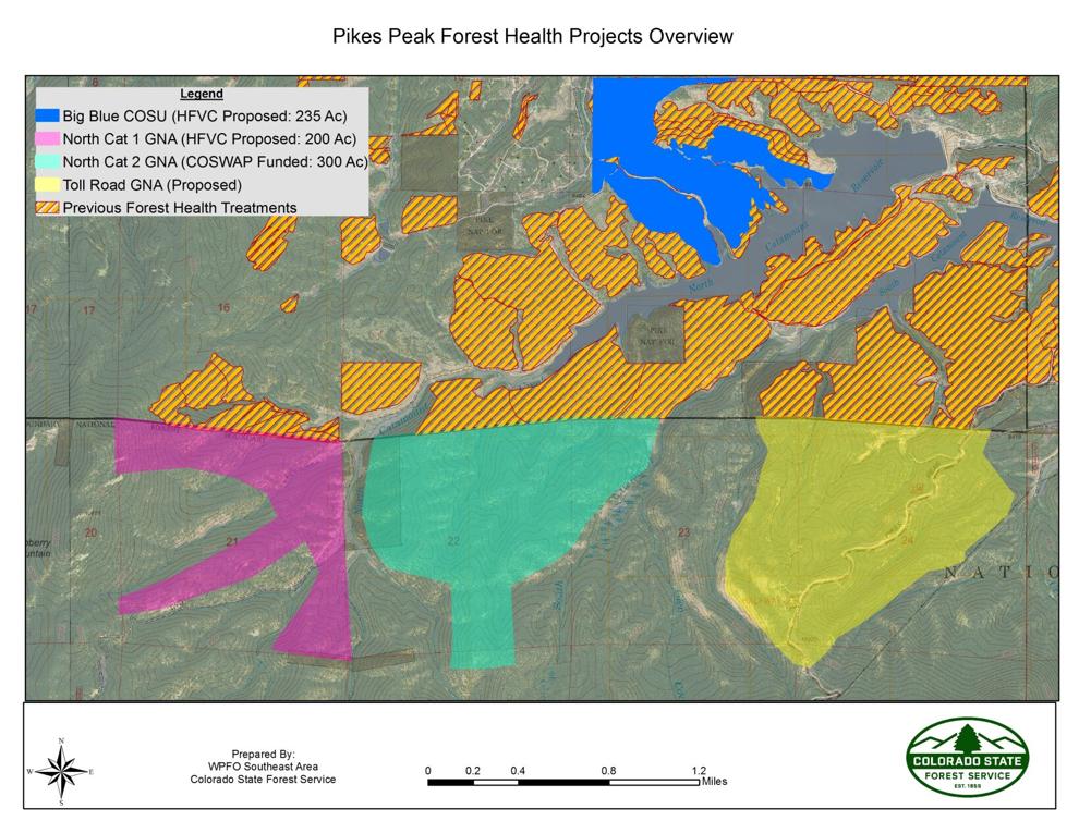 Colorado Springs Police Department faces another allegation of ...