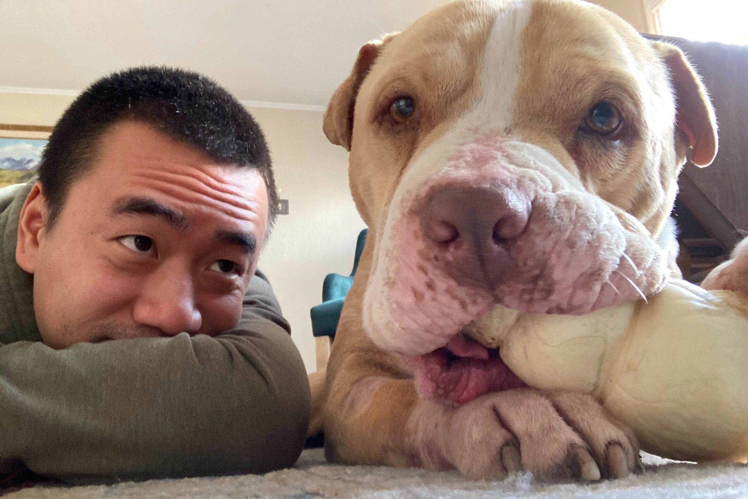 After a cancer diagnosis, Grand Junction’s Bendu the Dog wrote his ...