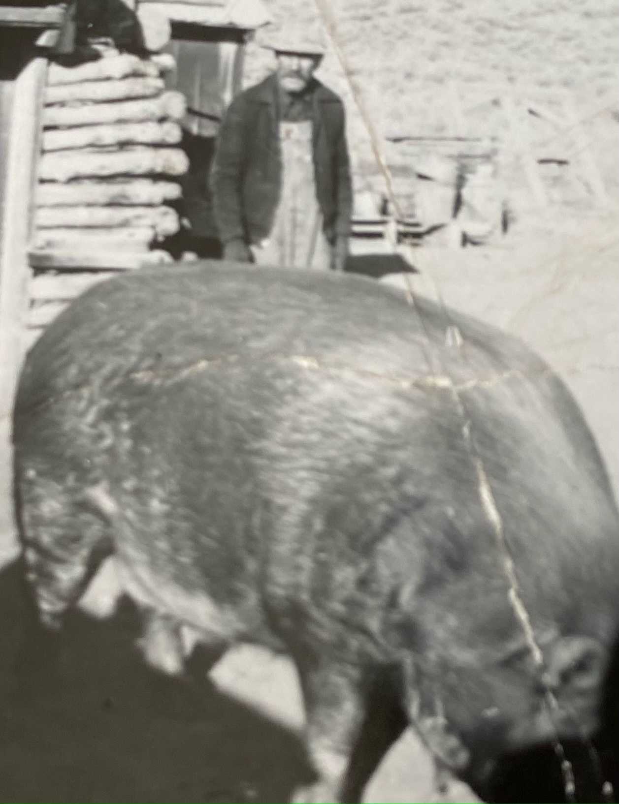 In the San Luis Valley, artisans paint pictures of everyday life using ...