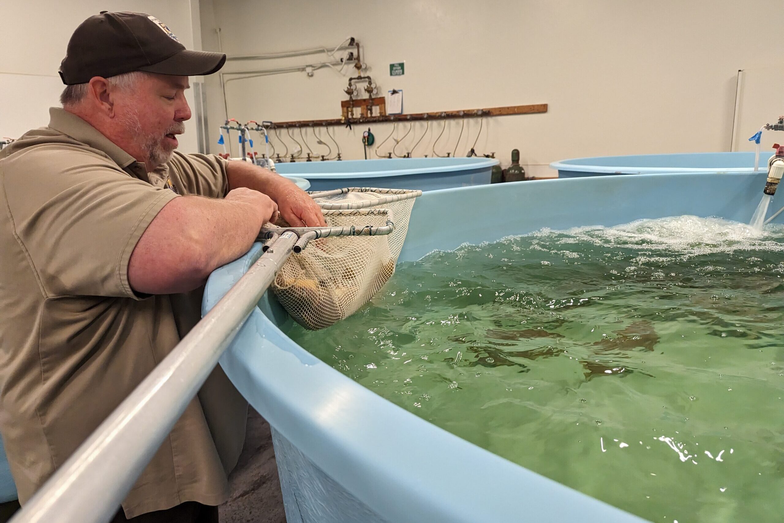 Federal fish conservation programs have found success in Western ...