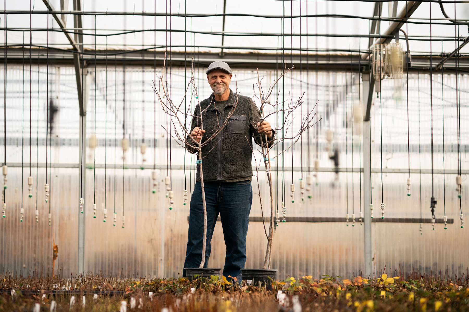 Interview: Colorado's history in trees — from George Washington to ...