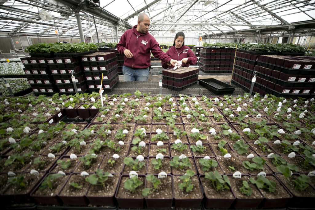 A beloved Arvada garden center hired new immigrants with work permits ...
