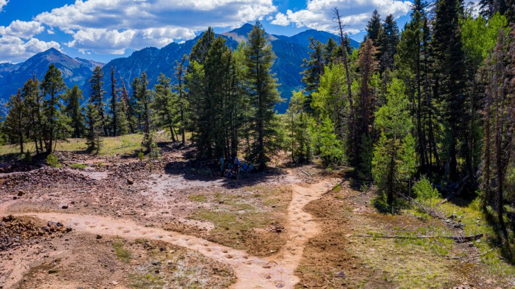 The world’s longest track of dinosaur footprints has been hidden in ...