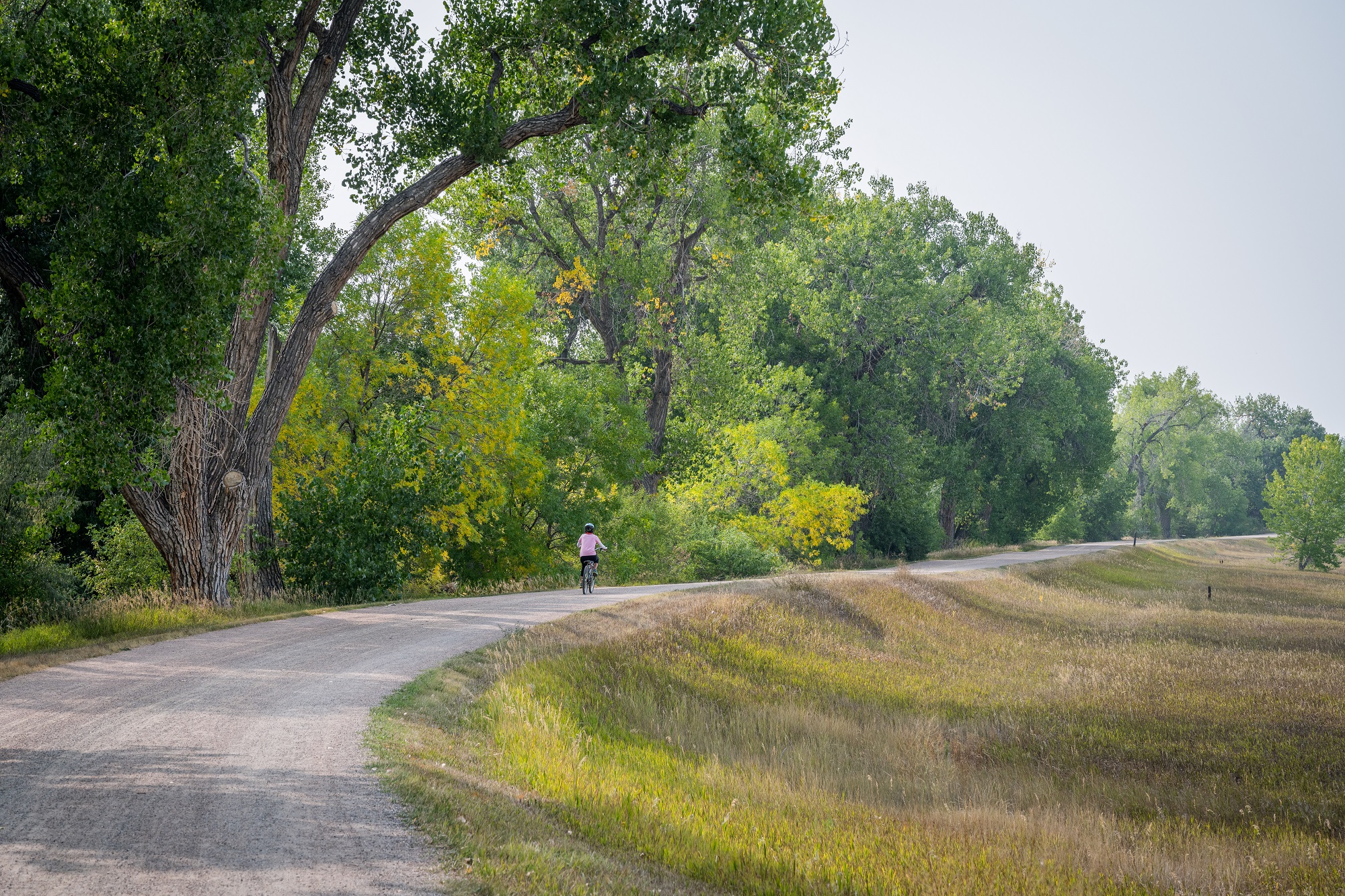 A revitalized High Line Canal through metro Denver may be coming soon ...