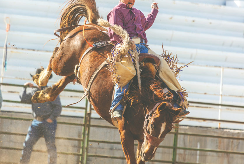 Colorado Arts Spotlight: Things to know and do around the state May 10-12