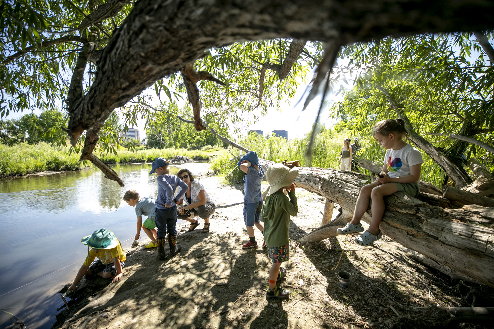 Colorado's outdoor preschools trade chalkboards and desks for crawdads ...
