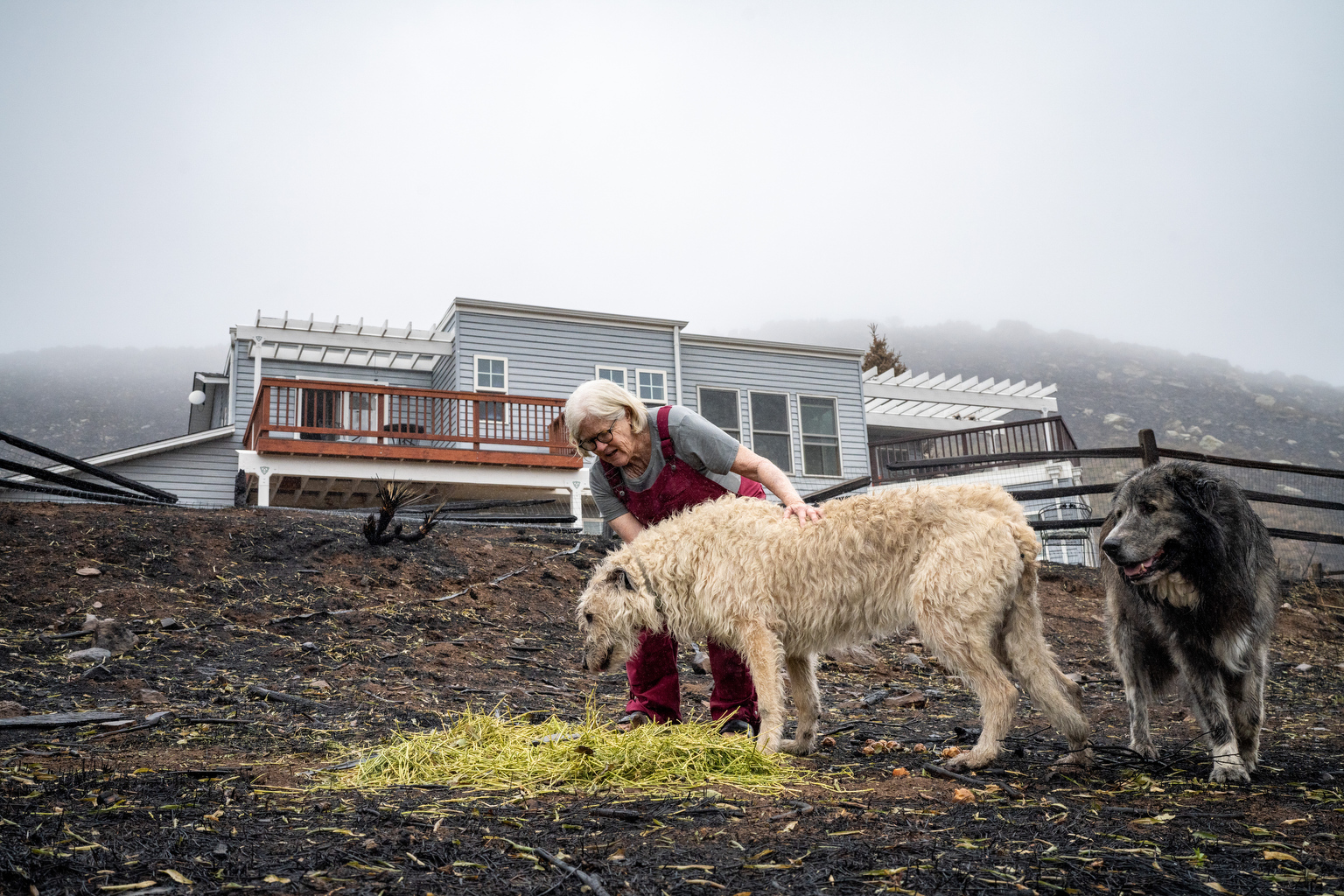 More than just evacuees, those forced to flee Colorado wildfires are ...