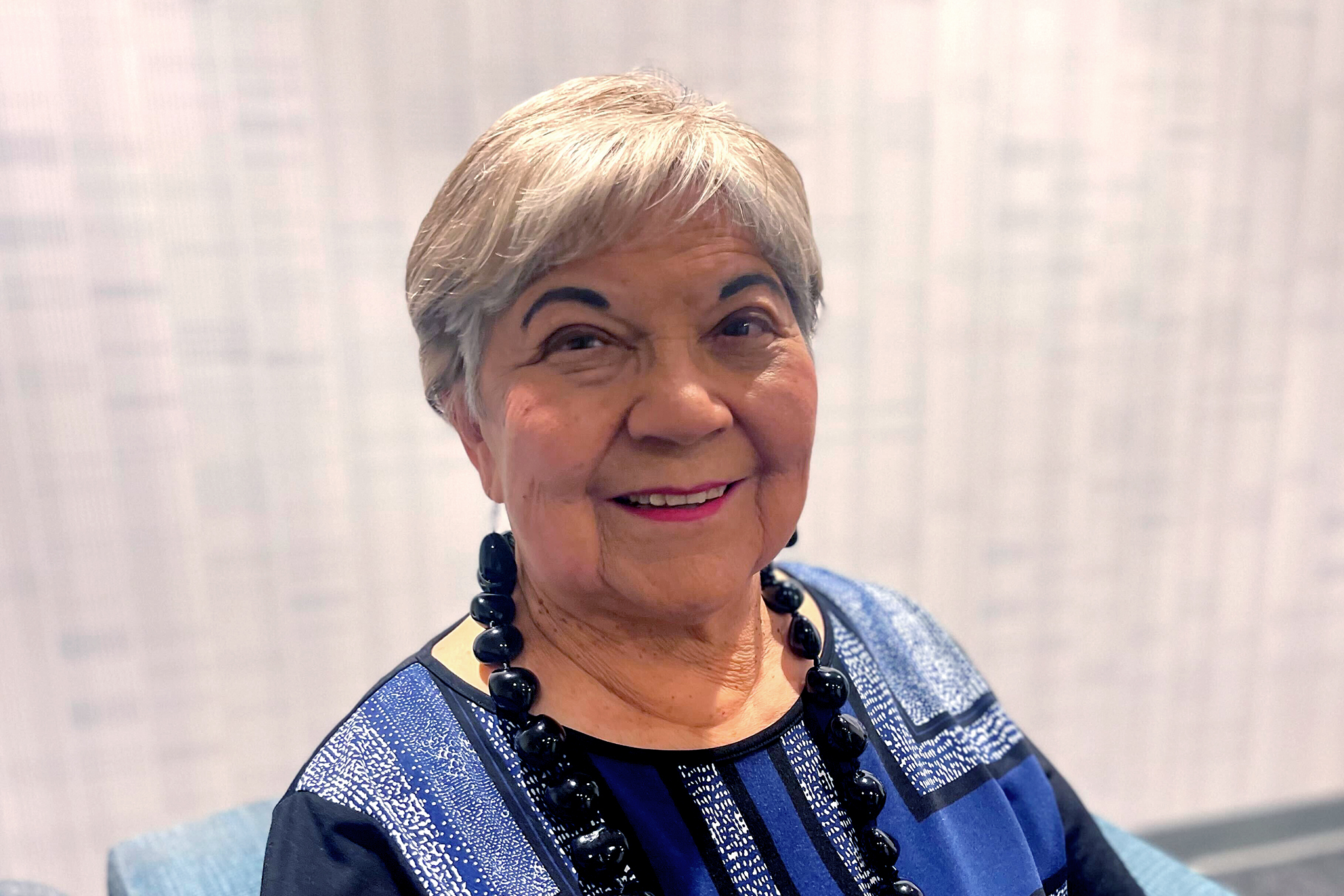 Democratic delegate says party must work tirelessly through Election ...