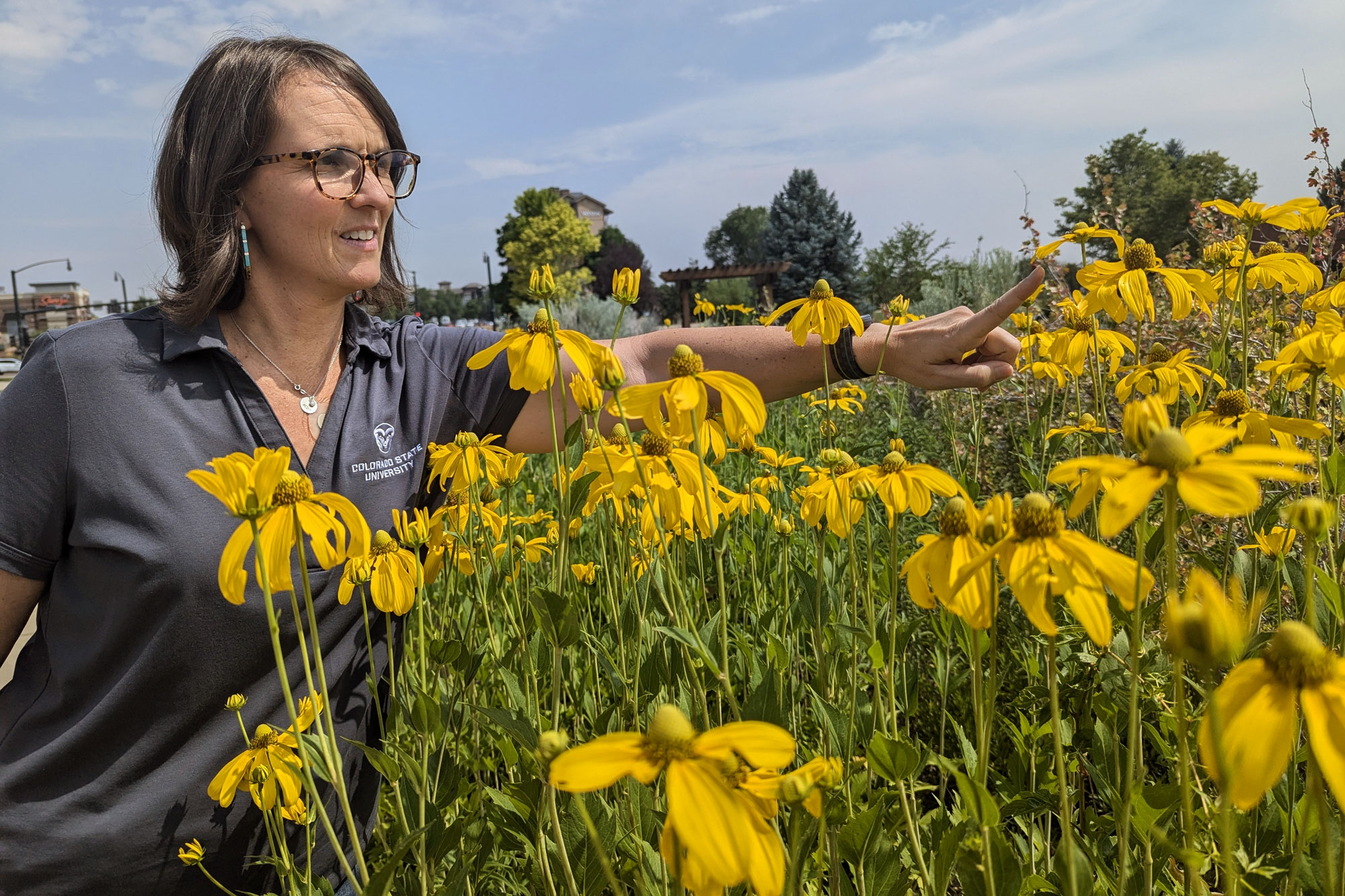 Bees, butterflies and other pollinators are now classified as wildlife ...