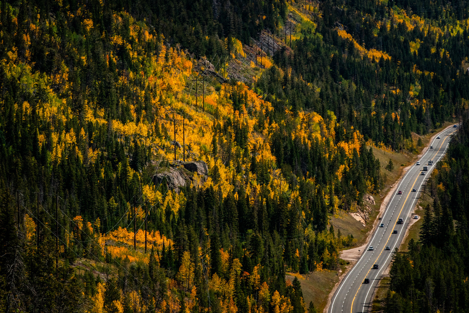 When and where to find peak leaf peeping in Colorado this fall