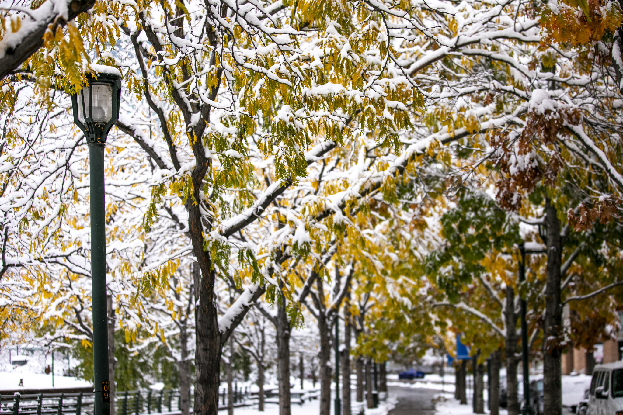 Metro Denver sees above average snowfall for January